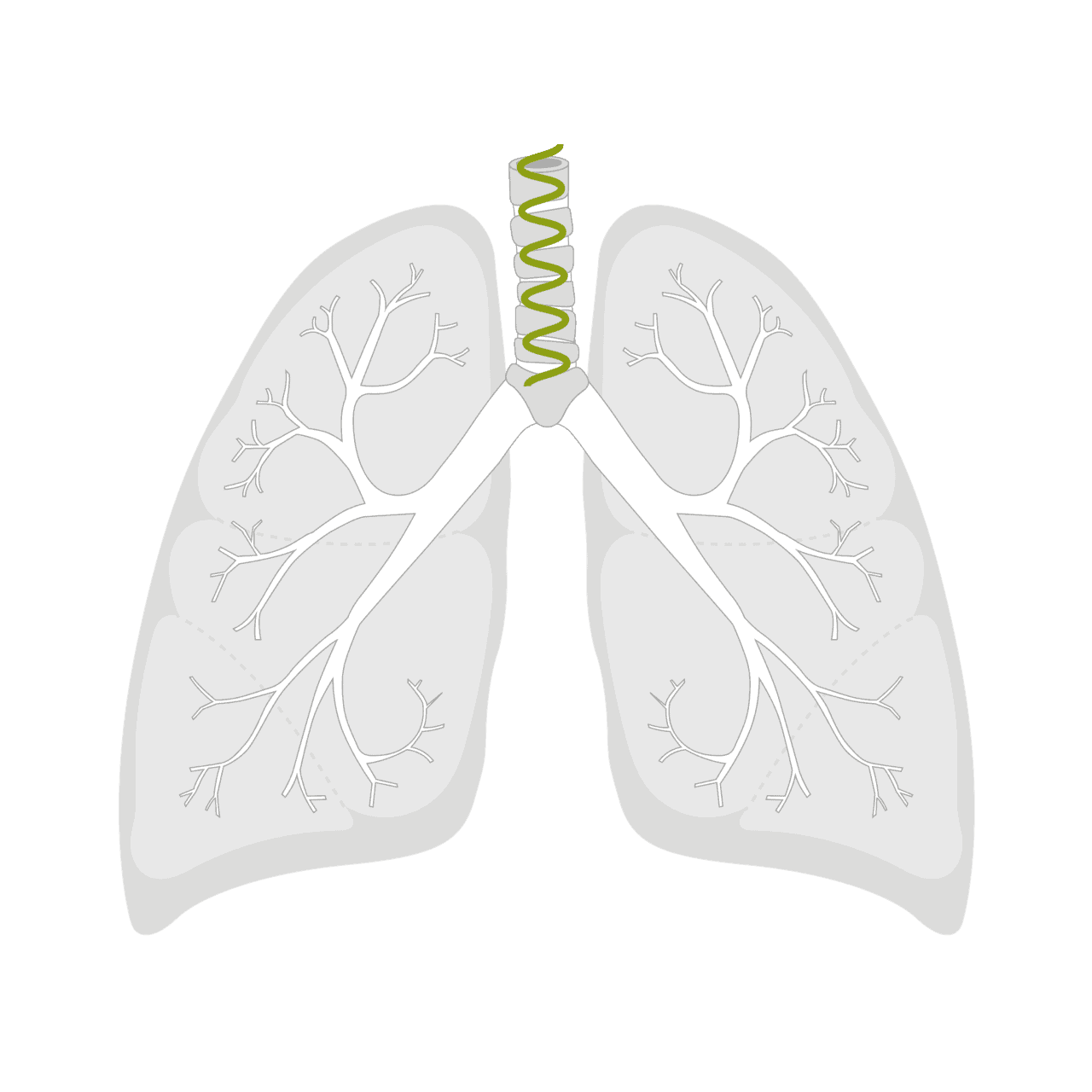 About Oscillometry - Restech