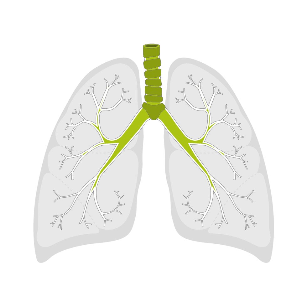Oscillometry: How it works and what can measure - Restech